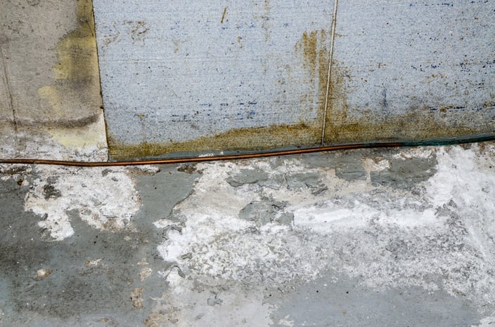 Salt Efflorescence, Damp Meters & Building Inspections